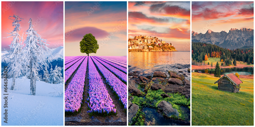 Collage of four seasons landscapes. Set of vertical pictures of nature ...