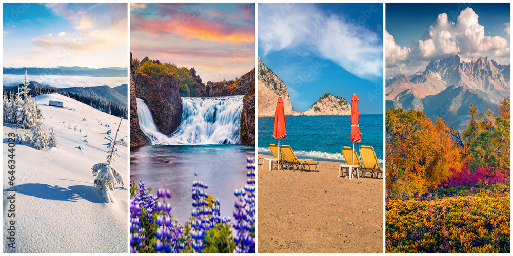 Collage of four seasons landscapes. Set of vertical pictures of nature ...