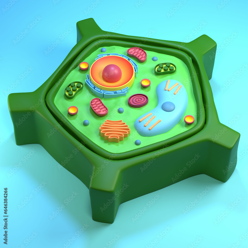 High resolution stylized 3D plant cell ideal for education and design ...