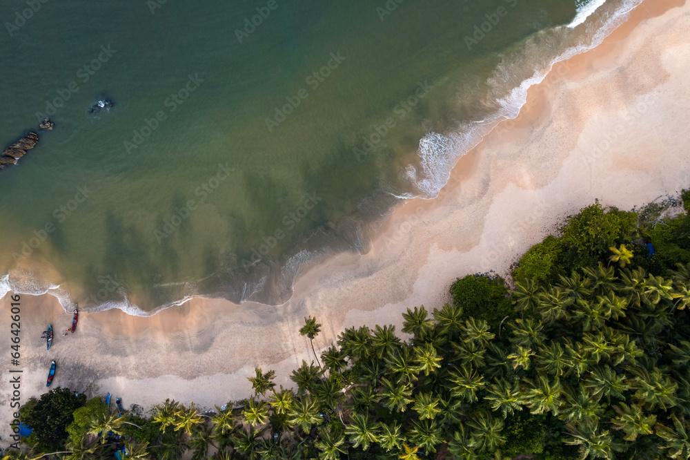 Awesome view of beach waves with coconut trees from above, Drone view ...