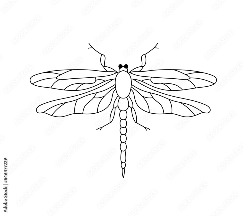 Vector isolated one single symmetrical dragonfly with four wings top ...