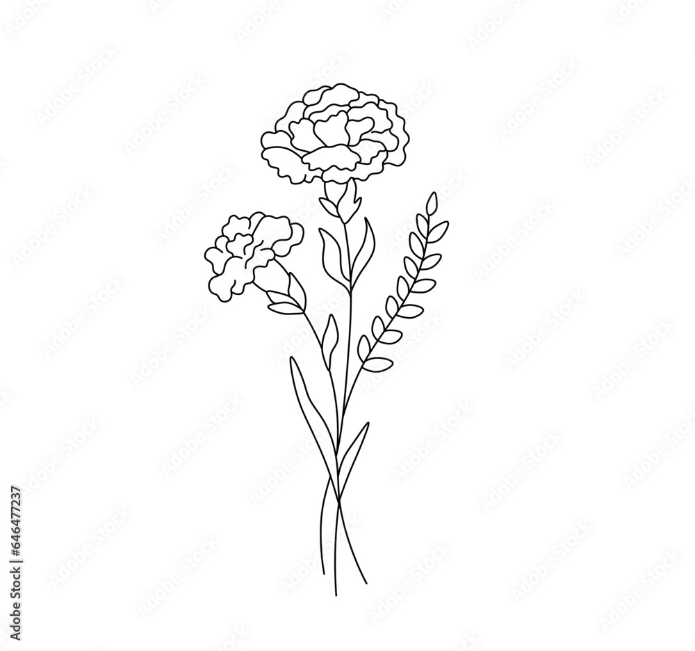 Vector isolated simple carnation bouquet boutonniere ywo carnations ...
