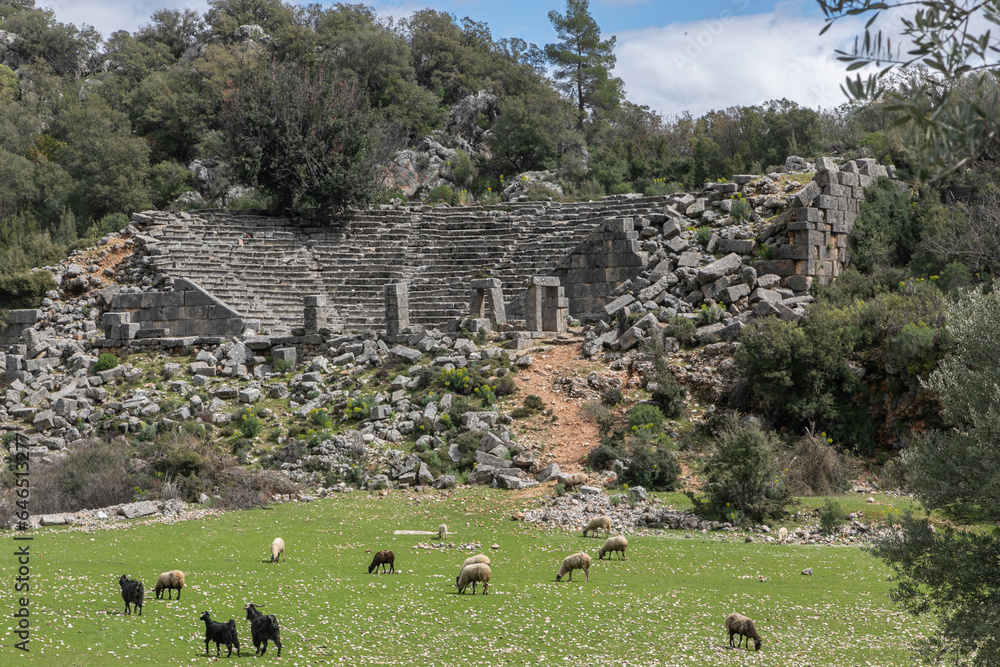 An antique panoramic landscape. A wide juicy green pasture with sheep ...