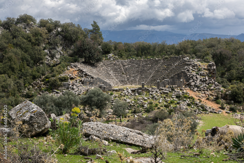 An antique panoramic landscape. A wide juicy green pasture with sheep ...