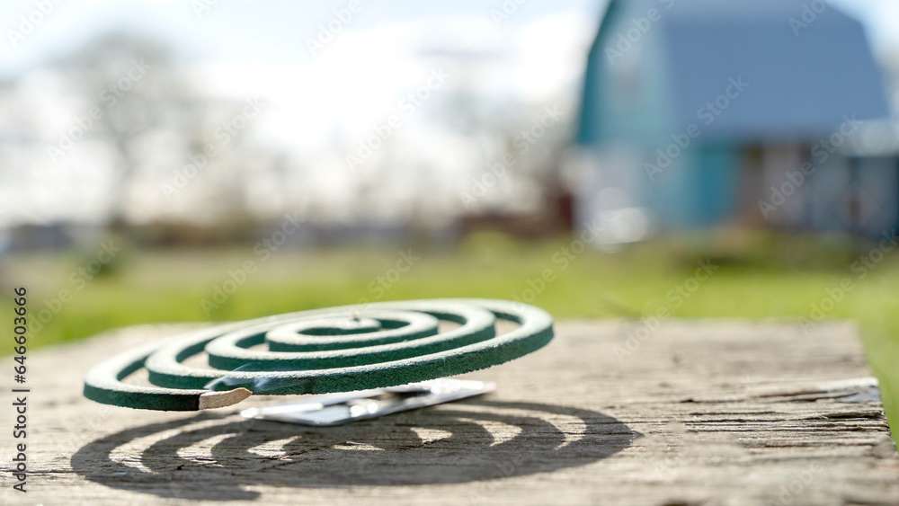 spiral from insects and mosquitoes in nature Stock Photo | Adobe Stock