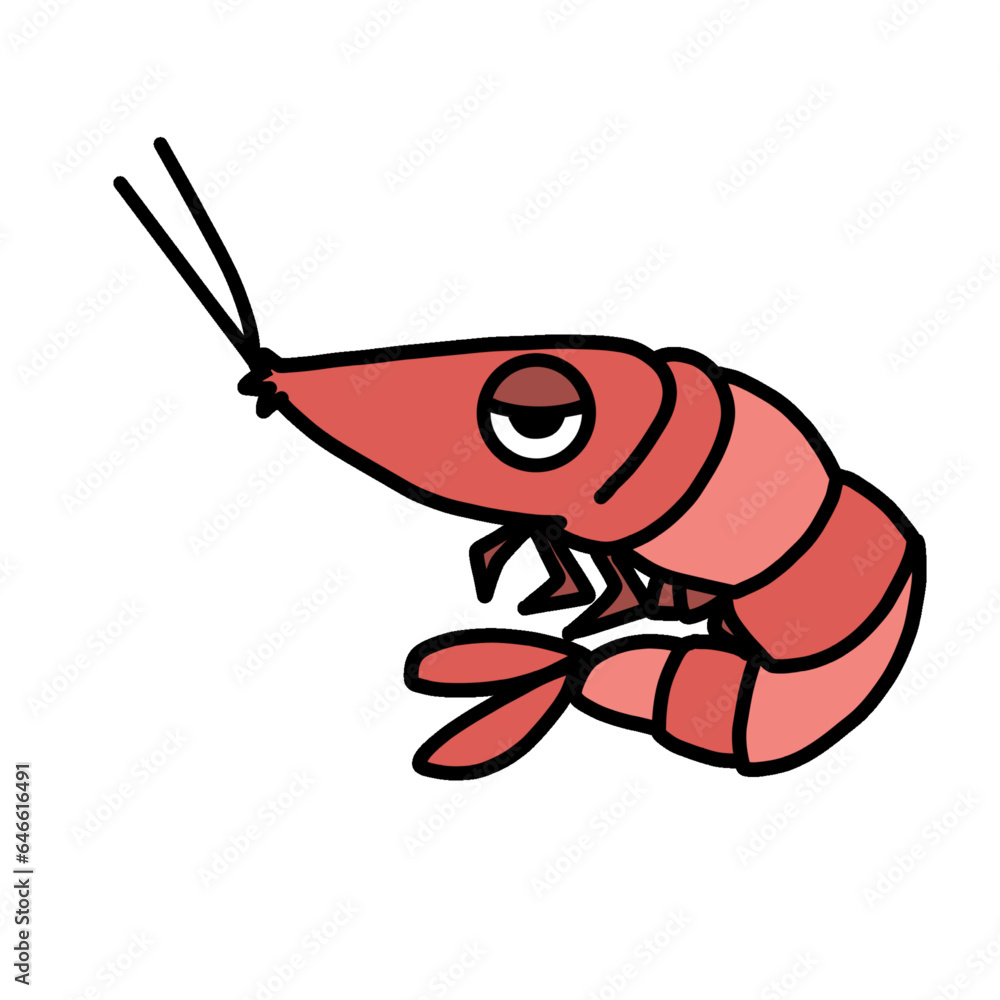 cute shrimp transparent background vector illustration Stock Vector ...