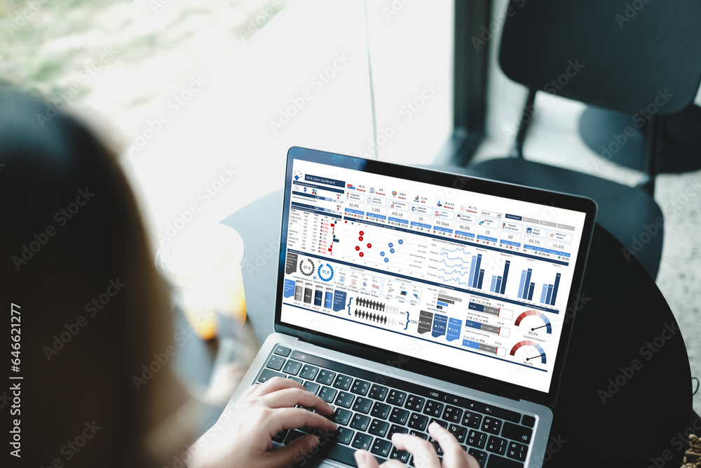 Analyst Works on Personal Computer laptop Showing business analytics ...