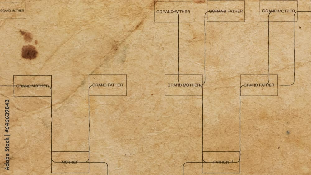 Family tree ancestry genealogy ancestors lineage chart, paper ...