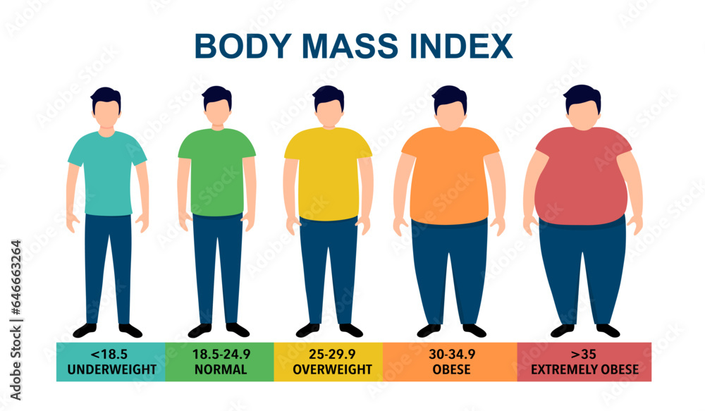 Body mass index vector illustration from underweight to extremely obese ...