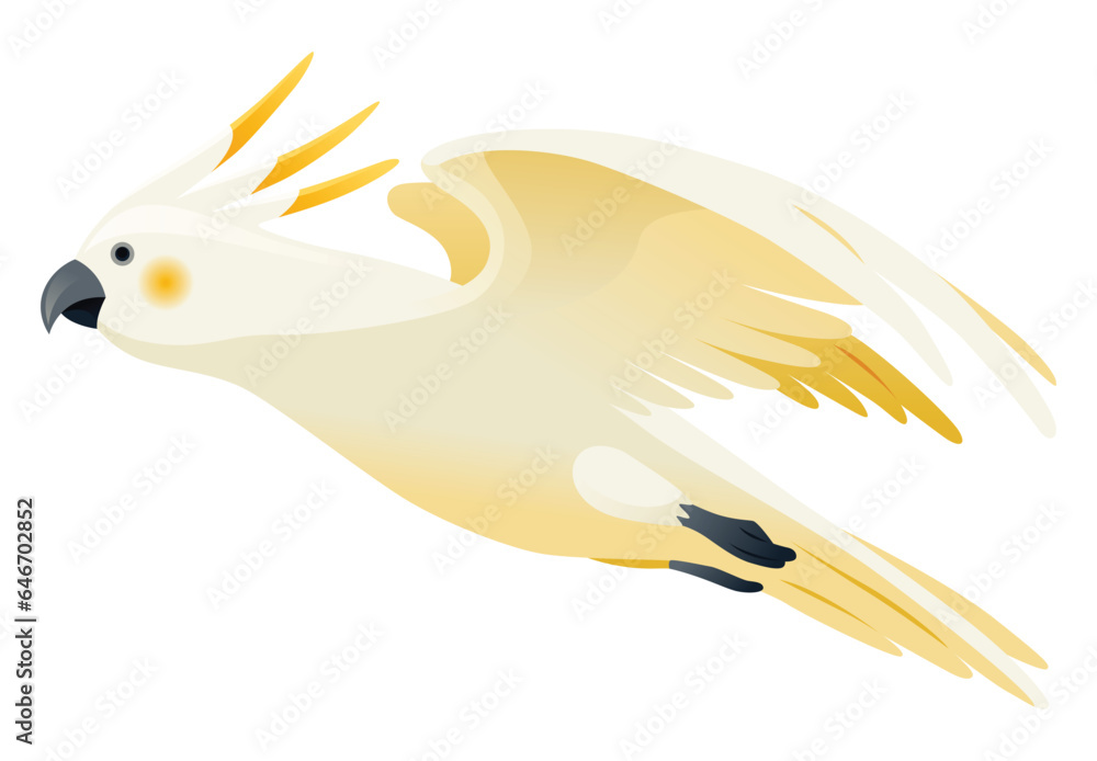 Parrot animation. Exotic adorable fauna character flight. White sulphur ...