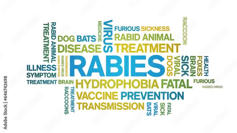 Vidéo Stock Rabies animated tag word cloud;text design animation ...