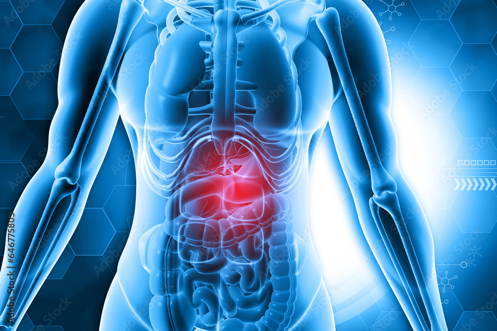 Human body anatomy on blue color background. 3d illustration.. Stock ...