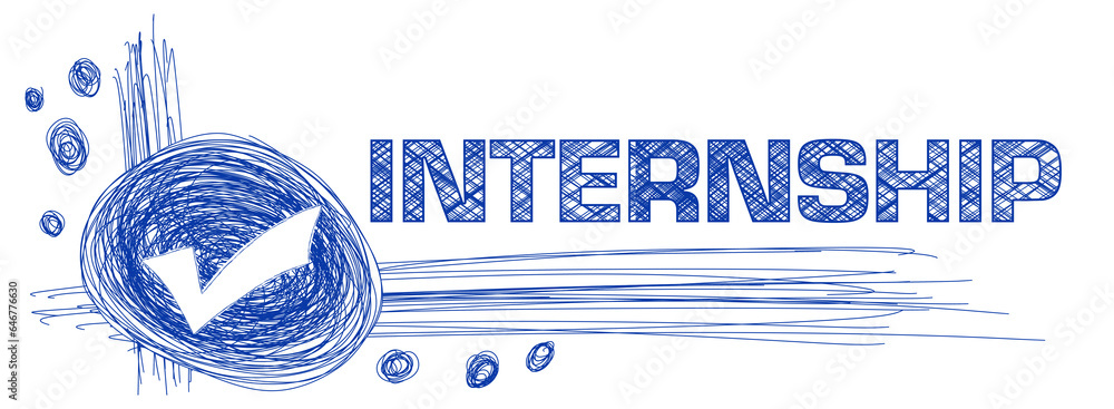 Internship Blue Pen Ball Pen Tick Mark Scribble Texture Text Stock ...