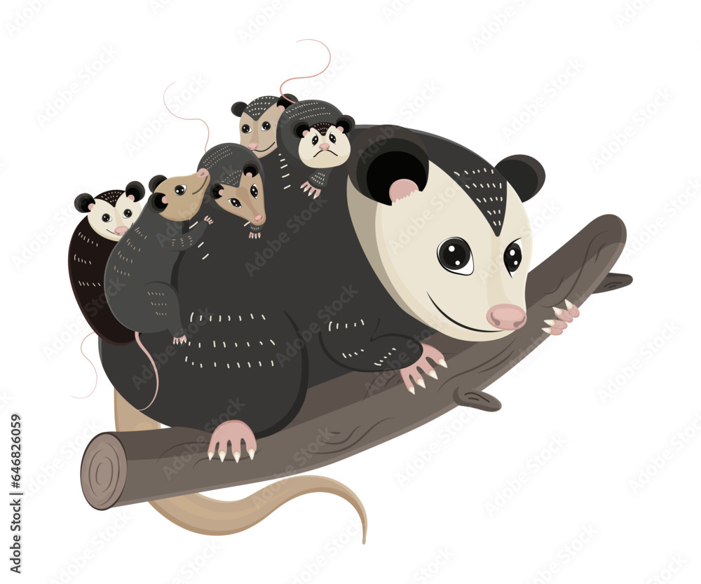 Cartoon possum with baby. Cute mammal. Happy cheerful animal. Wildlife ...