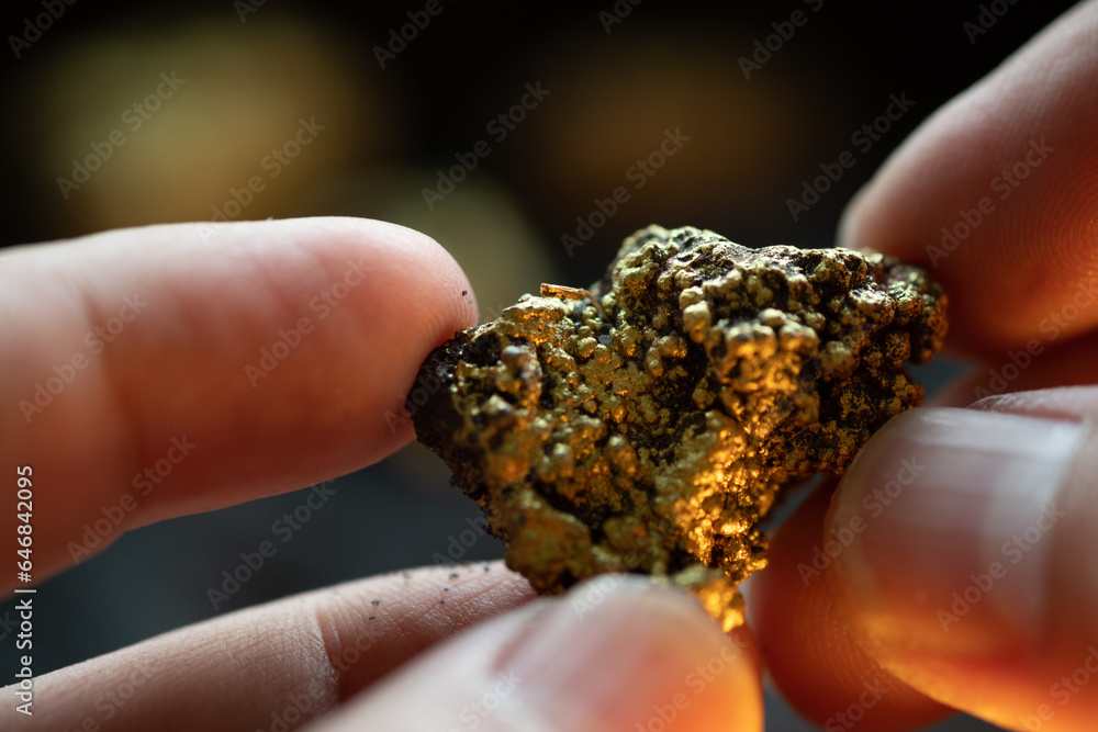 Mining man's hand holds a lump of pure gold from the mine and examines ...