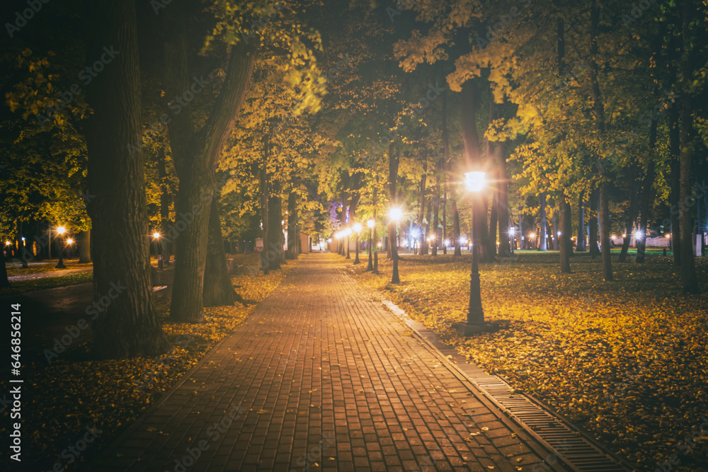 Night park in autumn with fallen yellow leaves.City night park in ...