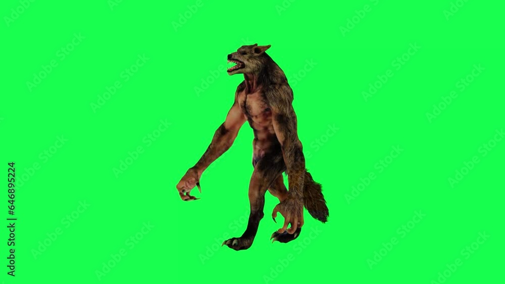 3d scary animated werewolf walking right angle isolated green screen ...