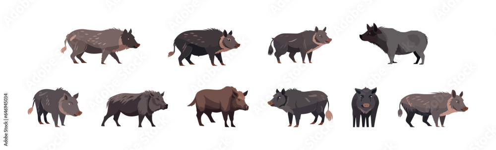 Wild boar set flat cartoon isolated on white background. Vector ...