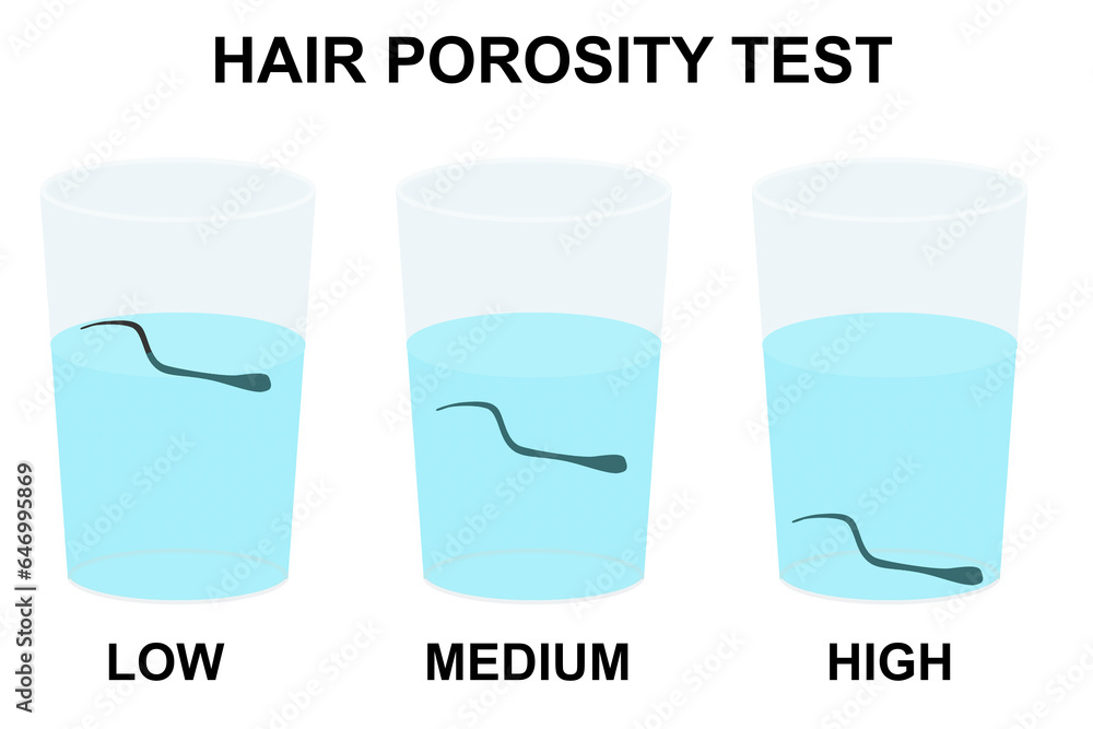 Natural hair porosity float test infographics Stock Illustration ...