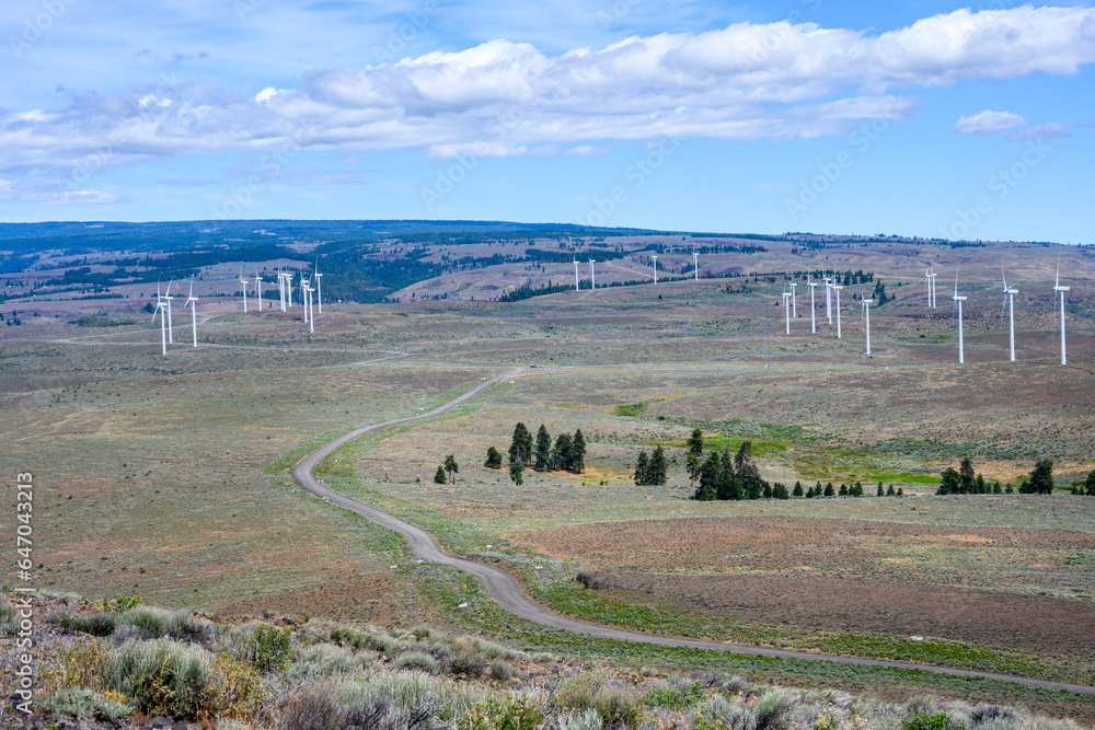 Power distribution lines on an industrial wind farm with wind turbines ...