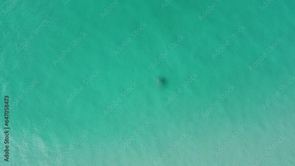 Miami Florida Tropical Beach Aerial with turquoise water. Tiny Fish ...