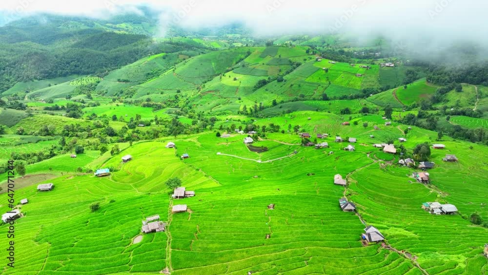 Stunning rice terraces, carved into hillsides, form a mesmerizing ...