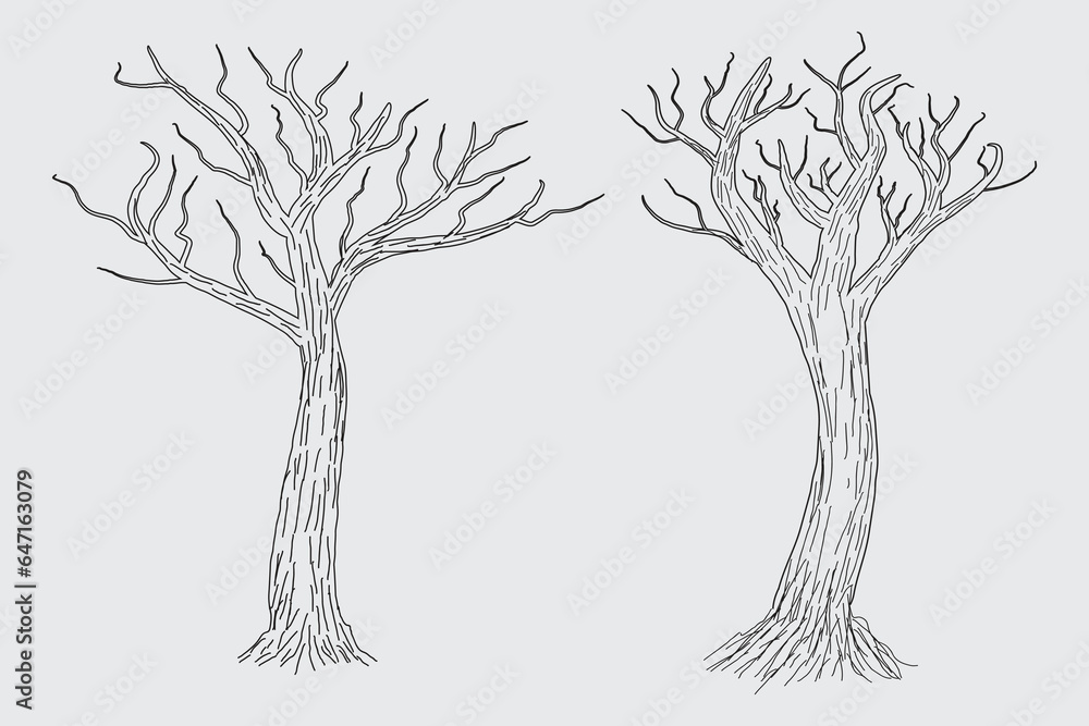 Hand drawn winter Bare Tree Sketch vector, bare Trees Leafless dead old ...