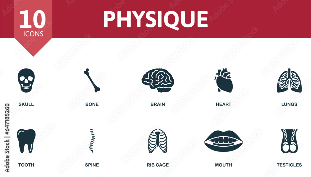 Physique set. Creative icons: skull, bone, brain, heart, lungs, tooth ...