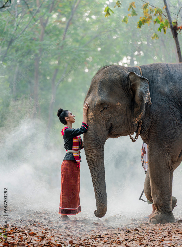 Young asian thai woman in traditional northeast costume pampering an ...