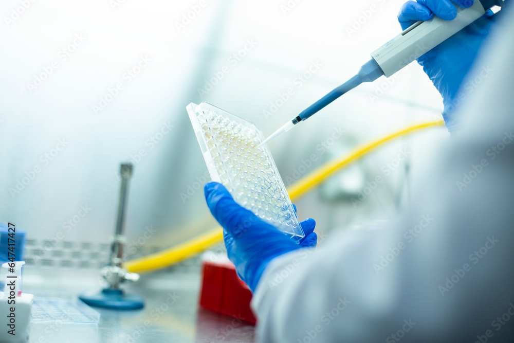 cell culture at the medicine, medical and biology laboratory, cancer ...