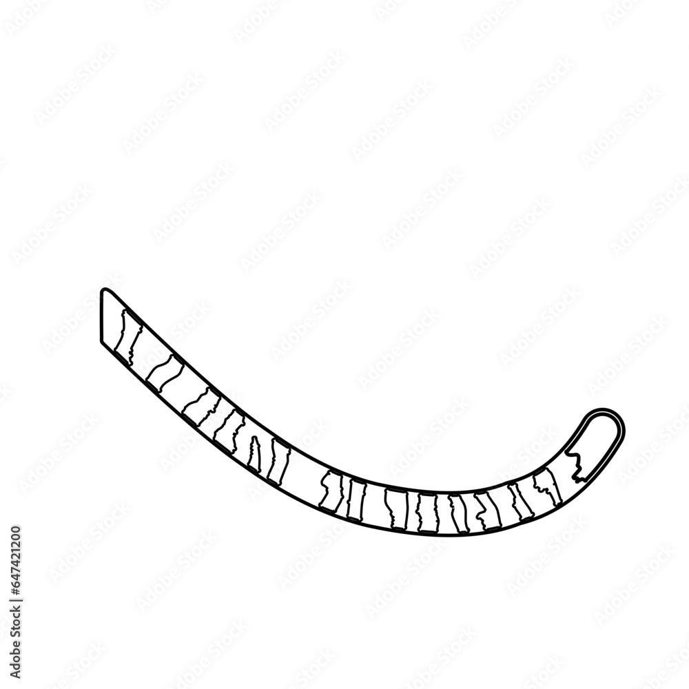 Tiger Tail Outline Vector Illustration Stock Vector | Adobe Stock