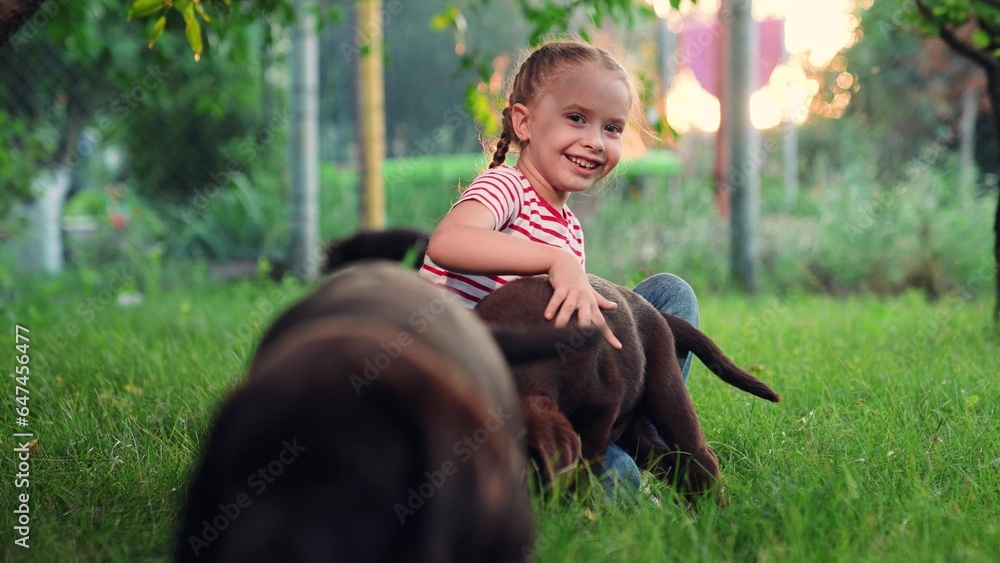 Little girl playing with puppies in park. Child plays with labrador ...