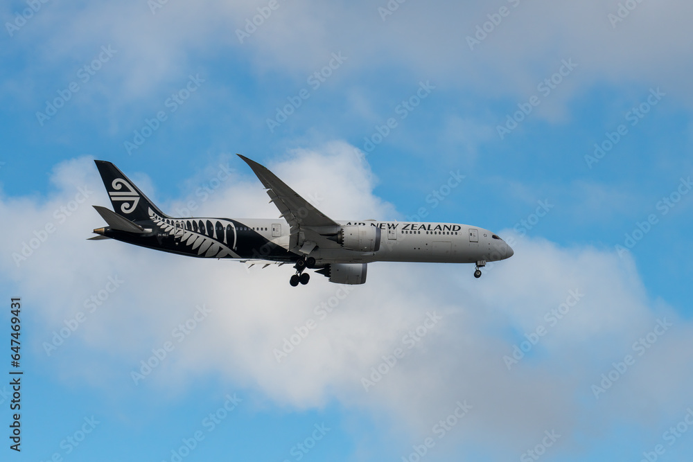 ZK-NZJ - Boeing 787-9 Dreamliner - Air New Zealand Aircraft in the pale ...