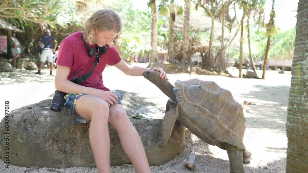 Smiling tourist boy patting Aldabra giant tortoise head - one of the ...
