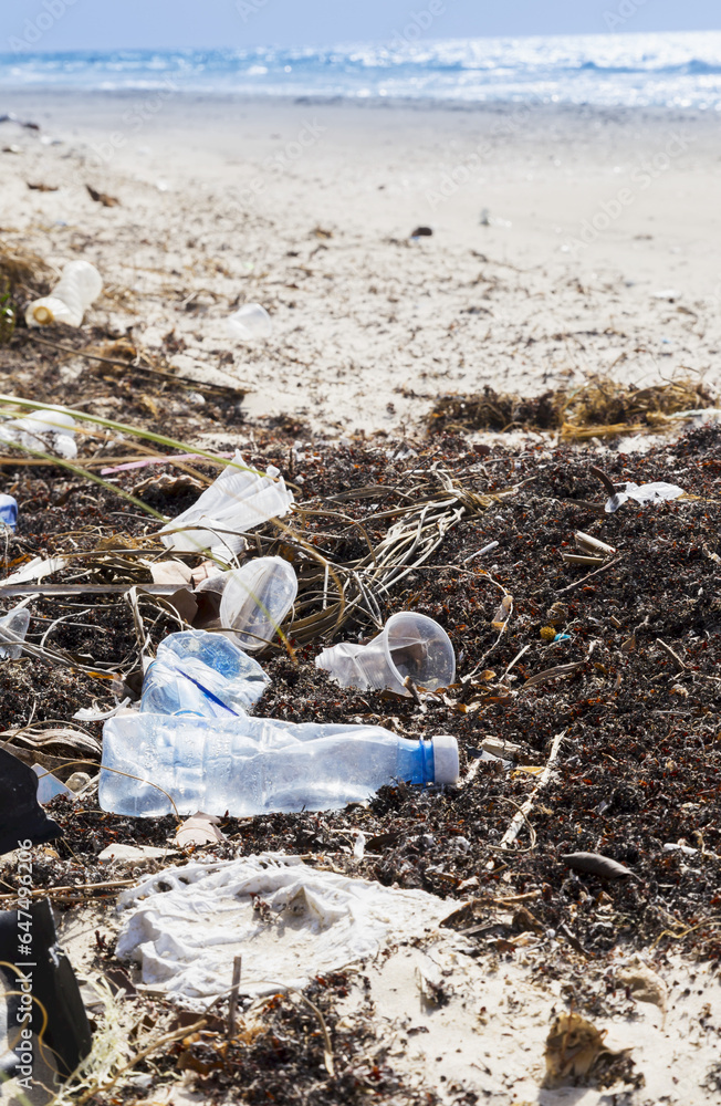 The Plastic Pollution And Debris Along The Beach In The Carribbean, A ...