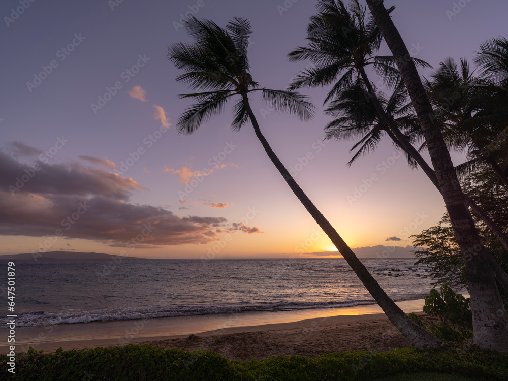 Silhouette of tropical palm trees along the shore at Ulua Beach with a ...