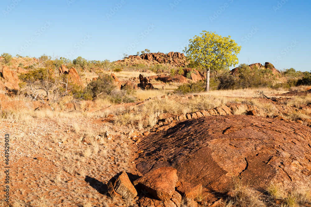 Rocky granite outcrop in a dry environment with a lone green tree in ...