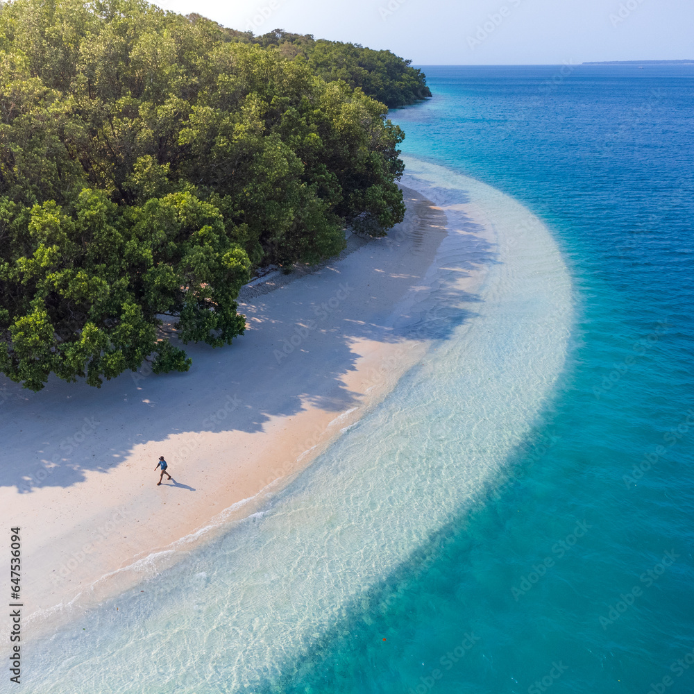 Pulau Peucang, Peucang Island, Ujung Kulon, Banten This is one of many ...