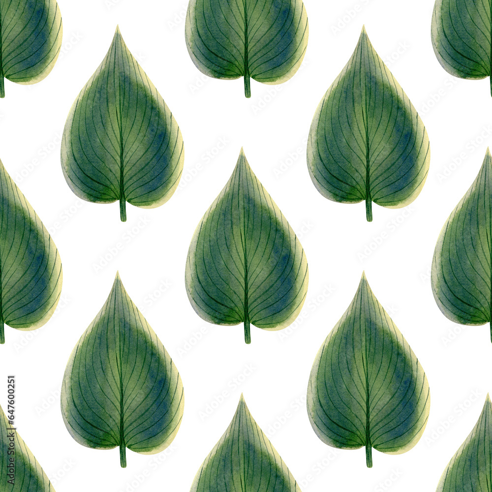 Seamless hosta Halcyon leaves pattern. Watercolor background with green leaf illustration for ...