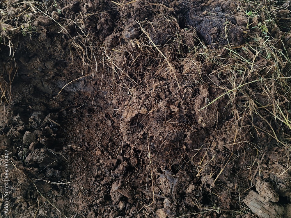 Small puddles of water on the dirt road and piles of mud mixed with ...