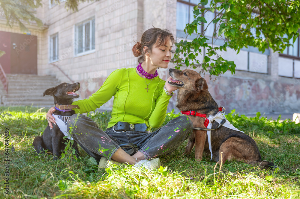 Dog with a volunteer. An animal shelter volunteer takes care of dogs ...