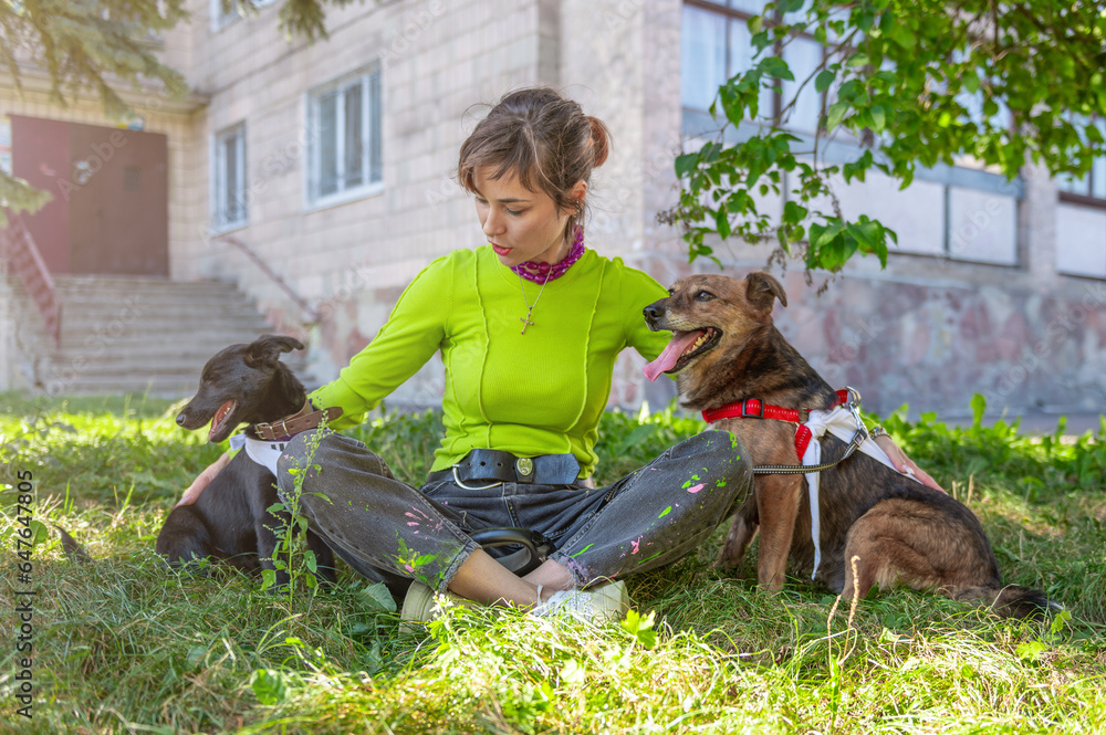 Dog with a volunteer. An animal shelter volunteer takes care of dogs ...