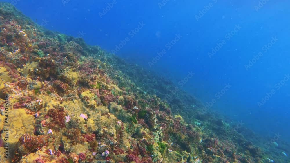 look out to hilly rapide zone steep geological formation seabed with ...