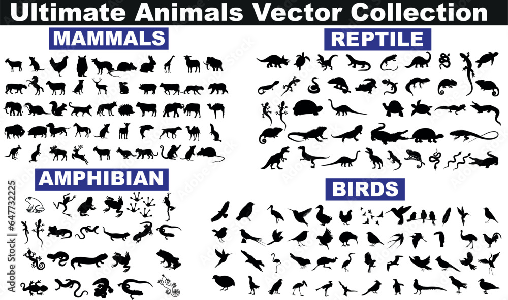 diverse animal vector collection, featuring mammals, reptiles ...