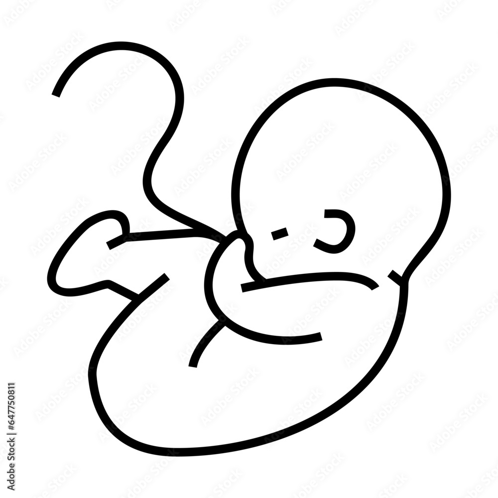 Simple outline of baby in fetal position vector icon. Black line drawing or cartoon illustration ...