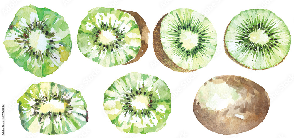 kiwi fruit painted with watercolor isolated on white background.Fruits ...