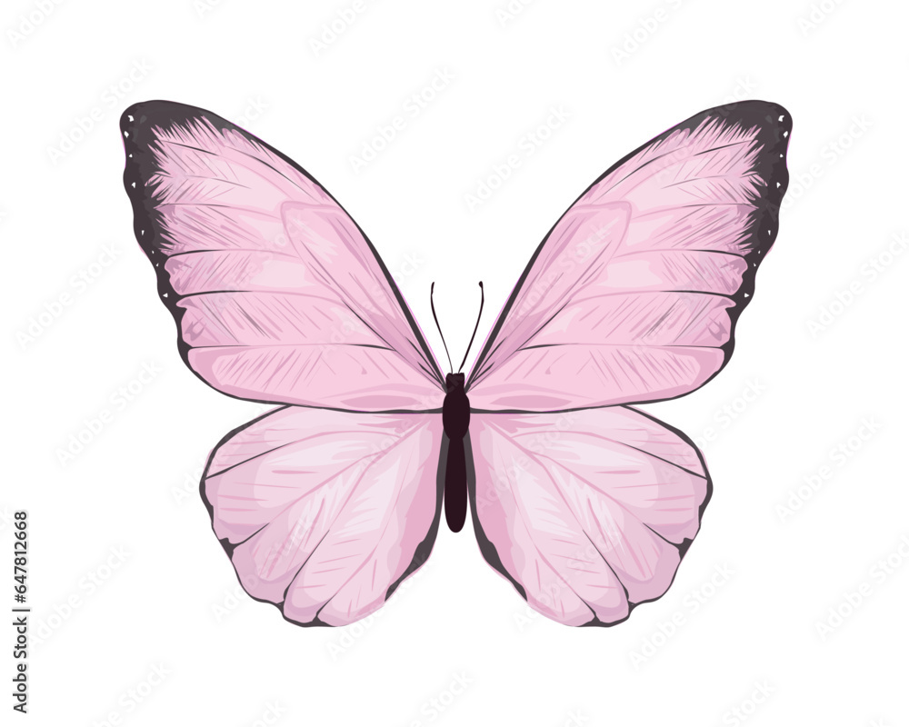 Beautiful monarch butterfly isolated on white background 3d ...