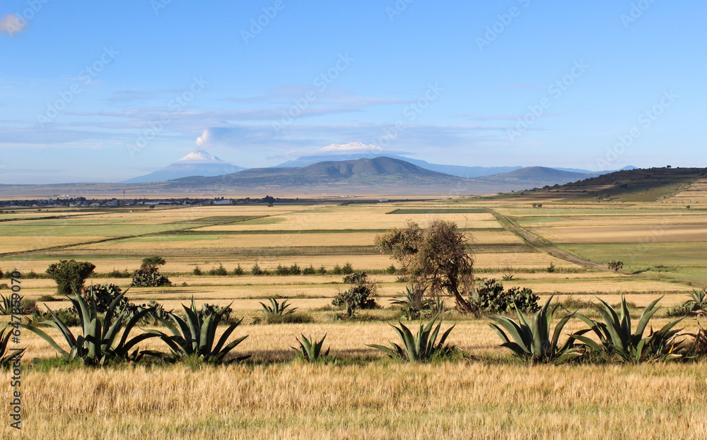 Paisaje con magueyes y campos de cultivo con volcanes de fondo y cielo ...