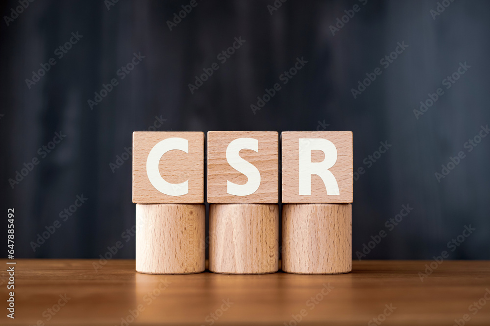 There is wood cube with the word CSR. It is an abbreviation for ...