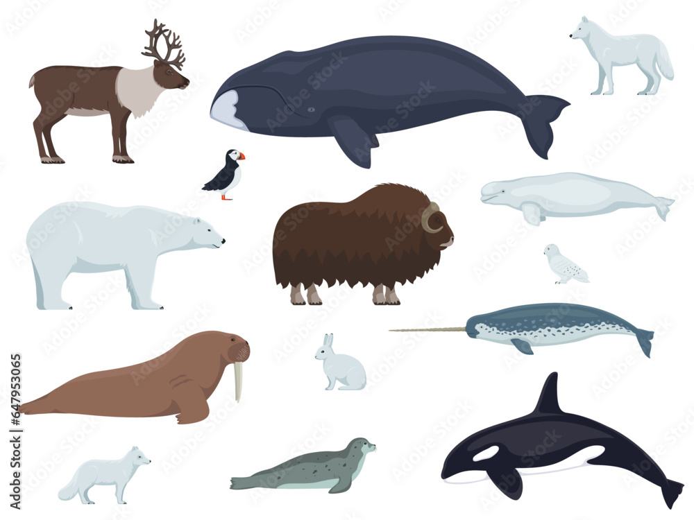 Set of arctic animals. Vector illustration set of different colored ...